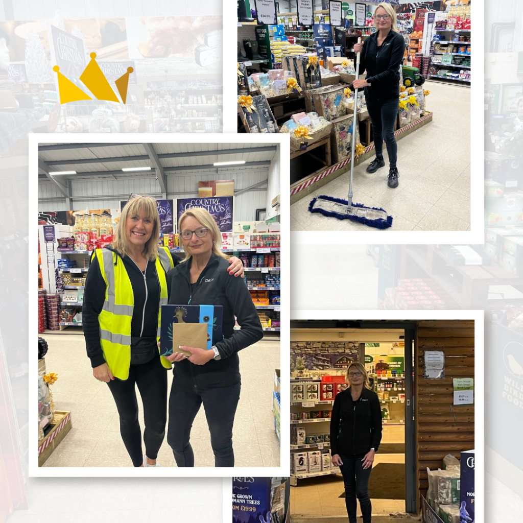 A CleanKing Star 💫 - Clean King